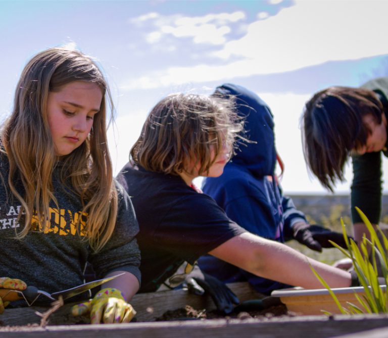 Collective Action - Basic Needs Giving Partnership