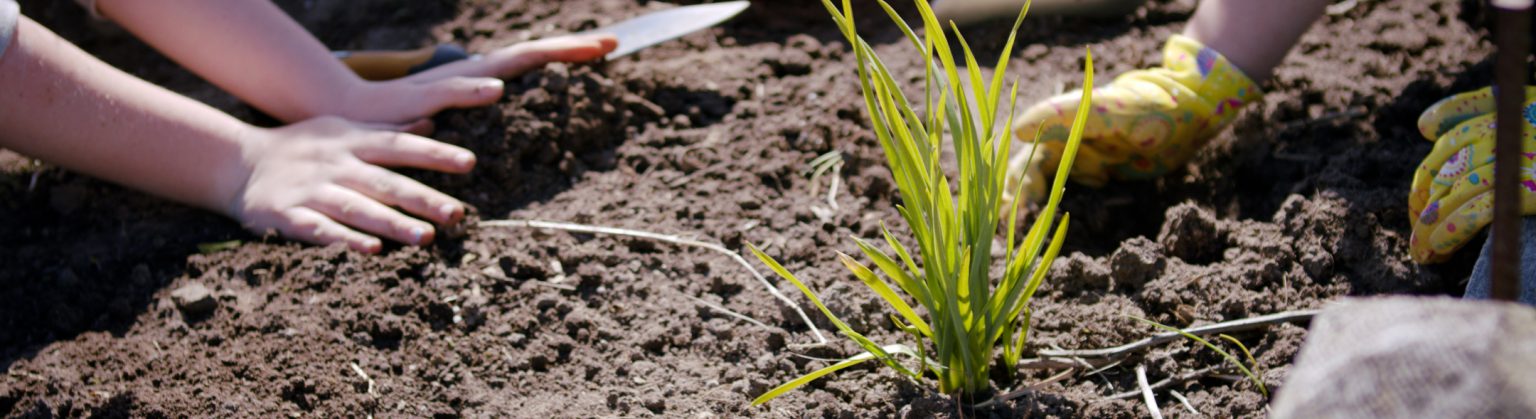 2024 Multi-Year Systems Change Grant Awards - Basic Needs Giving Partnership